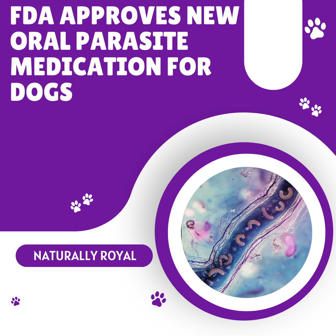 FDA Approves New Oral Parasite Medication for Dogs – Naturally Royal
