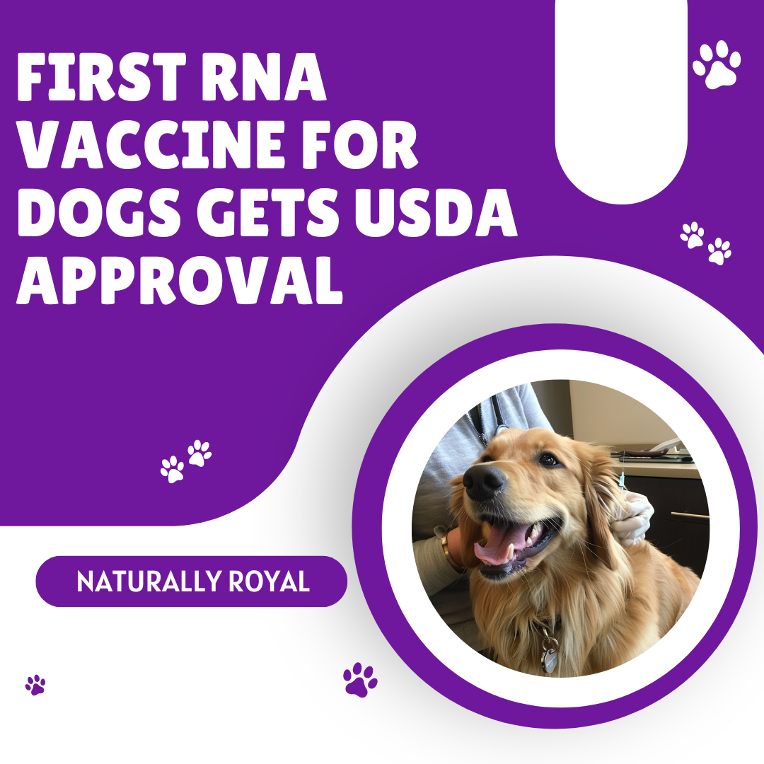 First RNA Vaccine for Dogs Gets USDA Approval – Naturally Royal