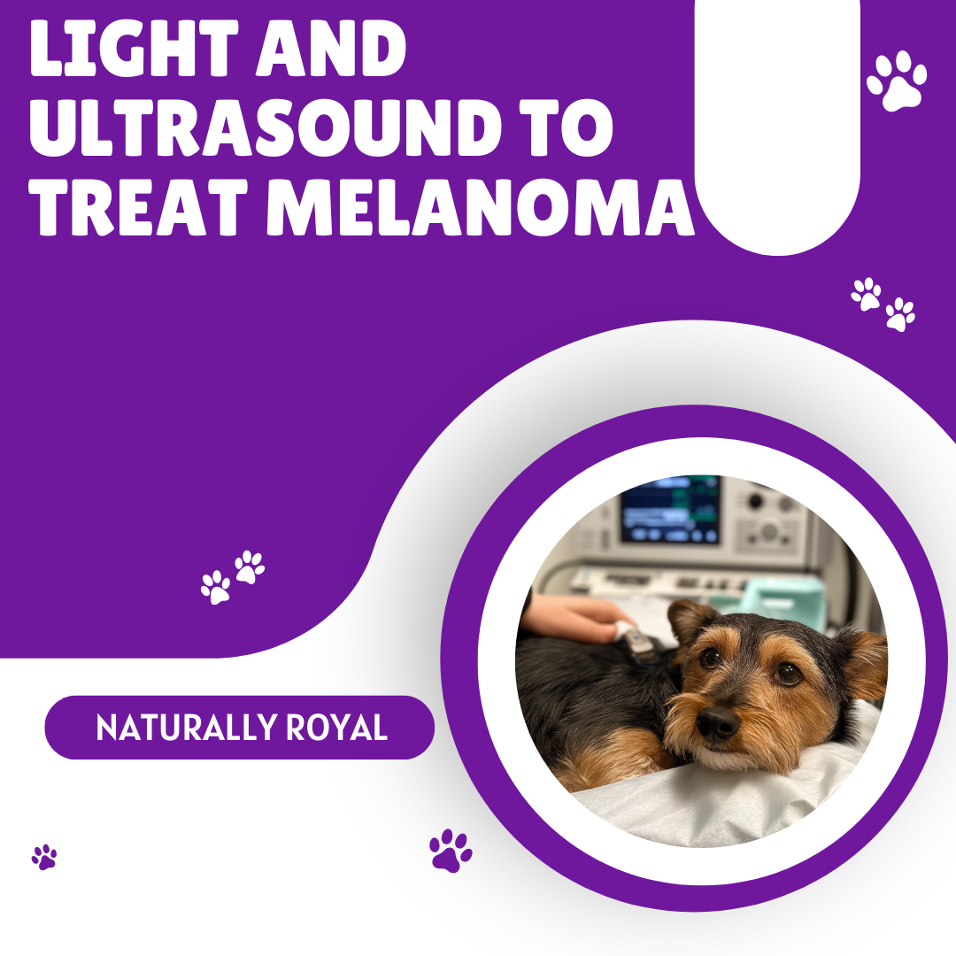 Light and Ultrasound to Treat Melanoma – Naturally Royal
