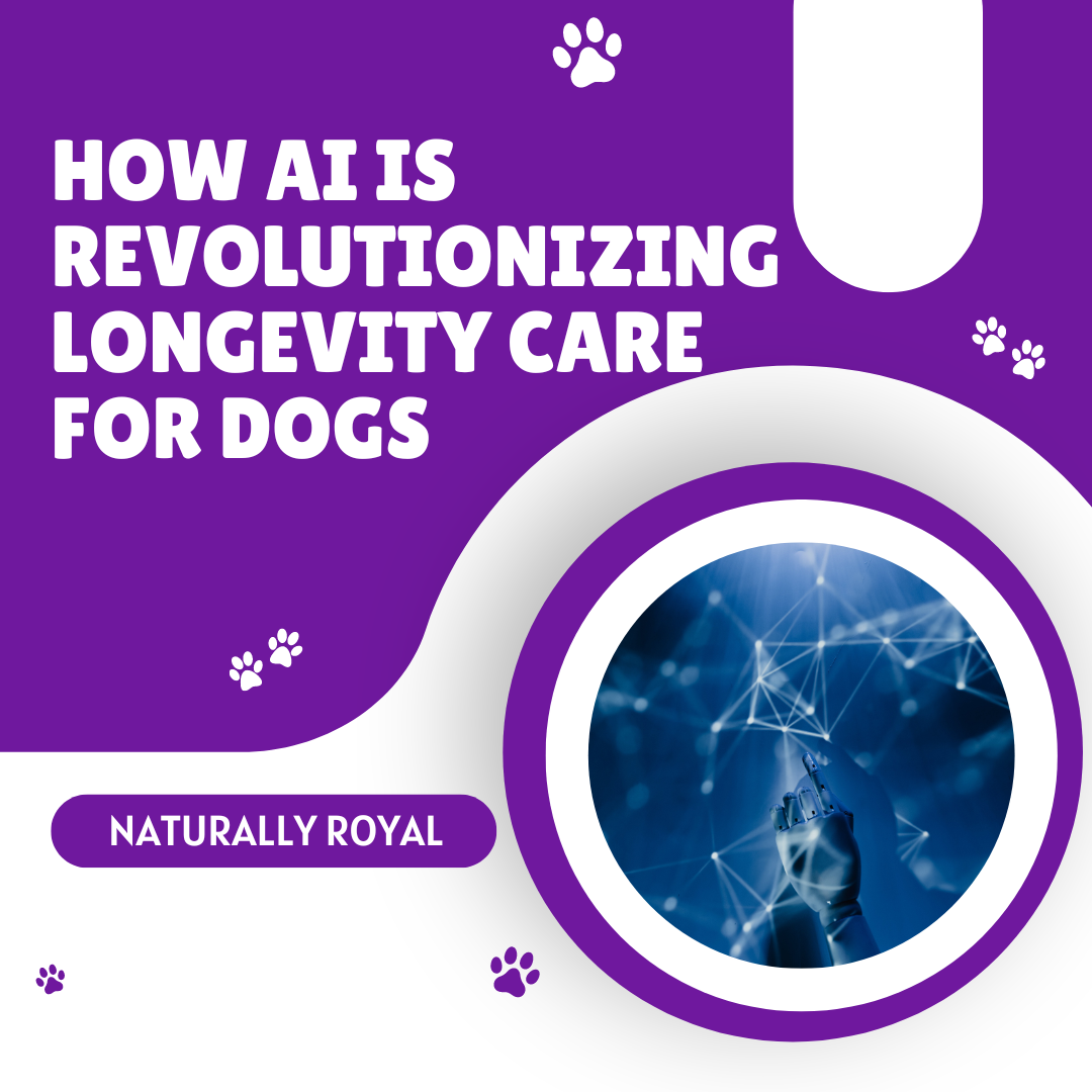 How AI is Revolutionizing Longevity Care for Dogs – Naturally Royal