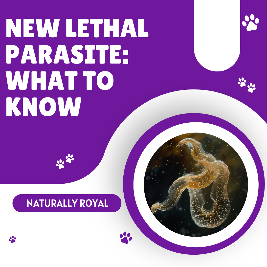 New Lethal Parasite: What to Know – Naturally Royal