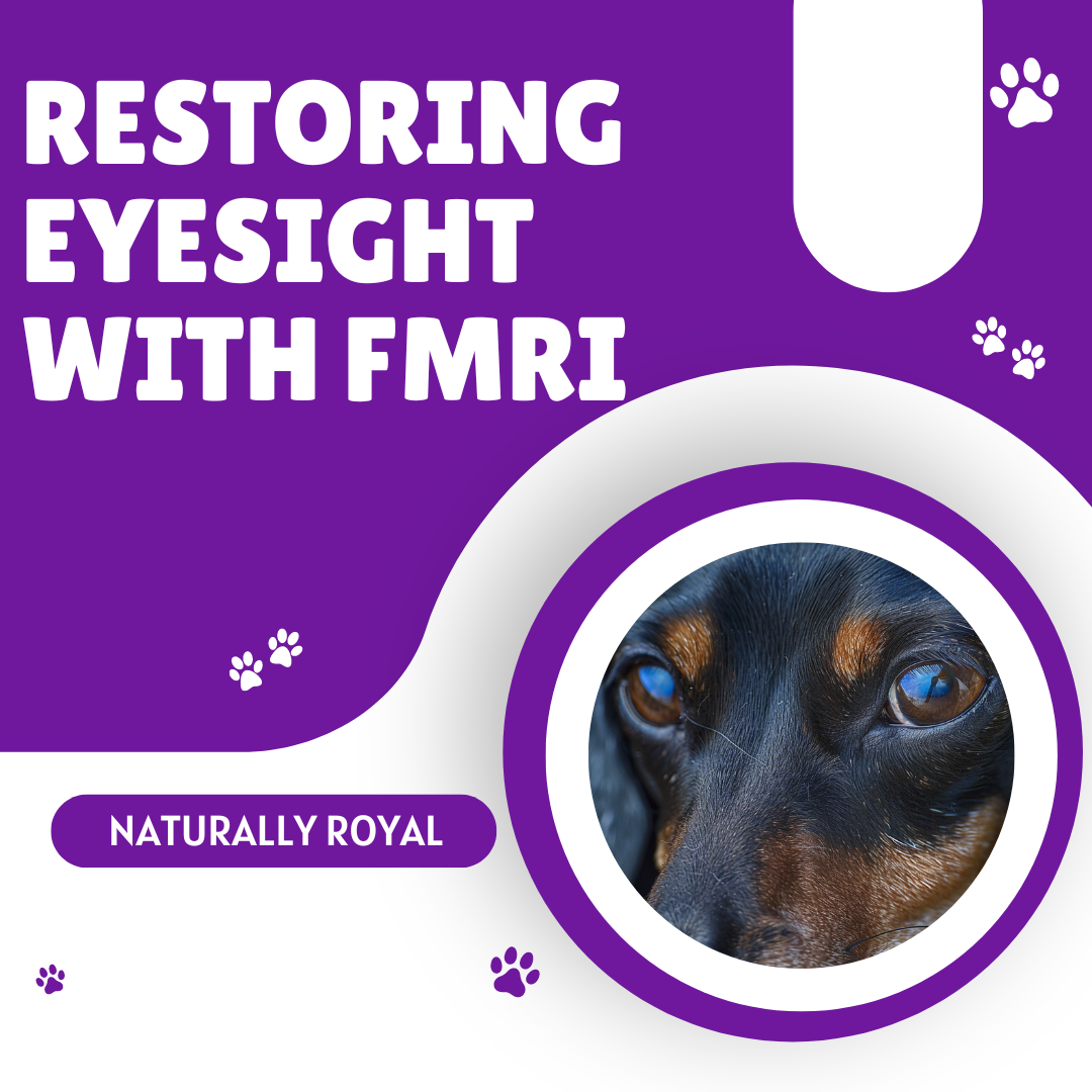 Restoring Eyesight with fMRI – Naturally Royal