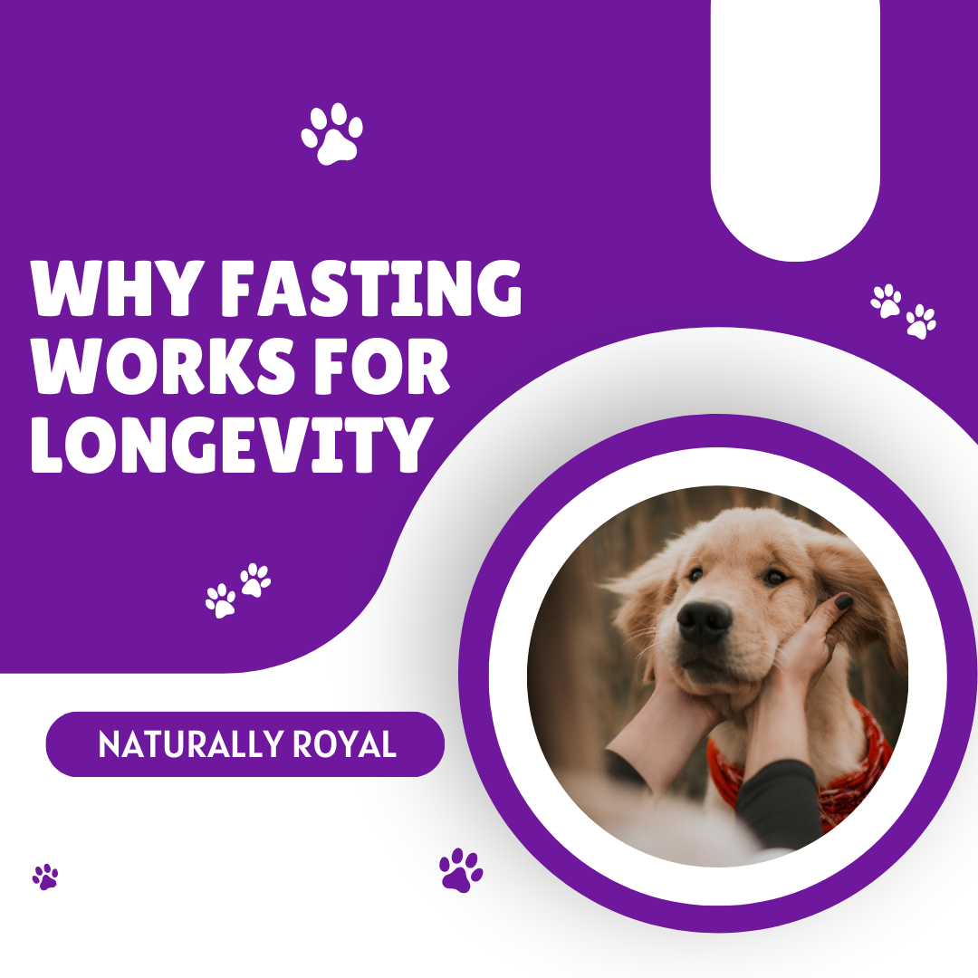 Why Fasting Works for Longevity – Naturally Royal