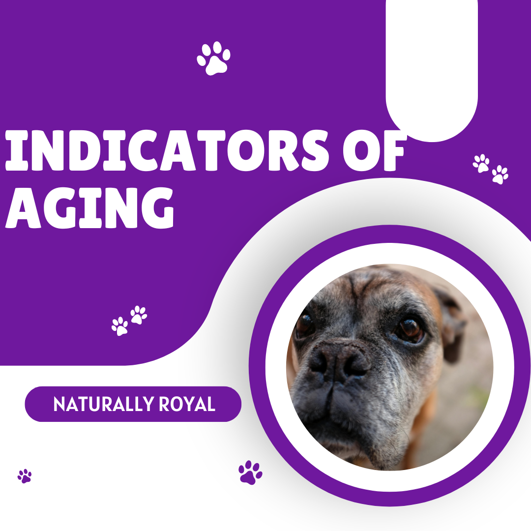 Indicators of Aging – Naturally Royal