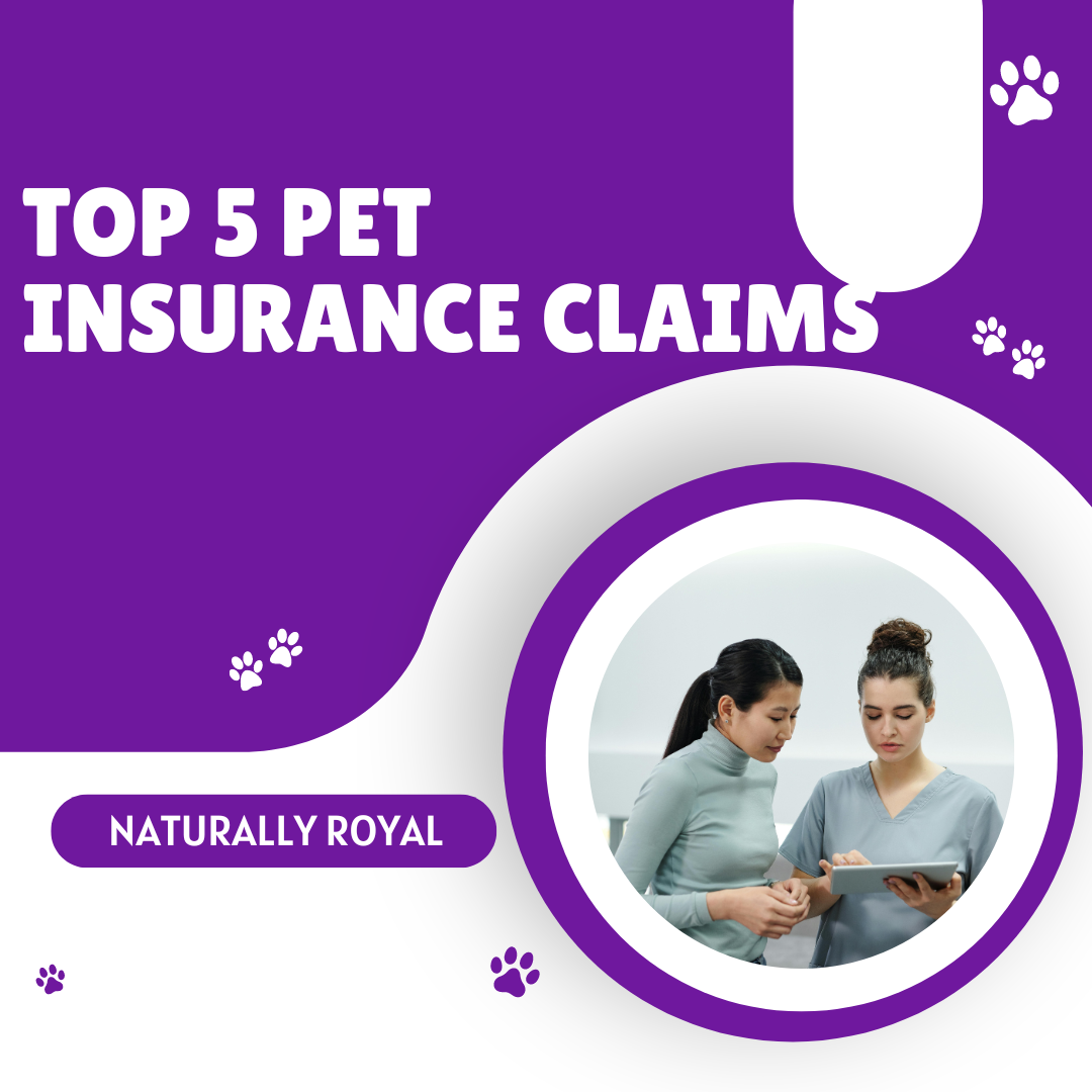 Top 5 Pet Insurance Claims – Naturally Royal