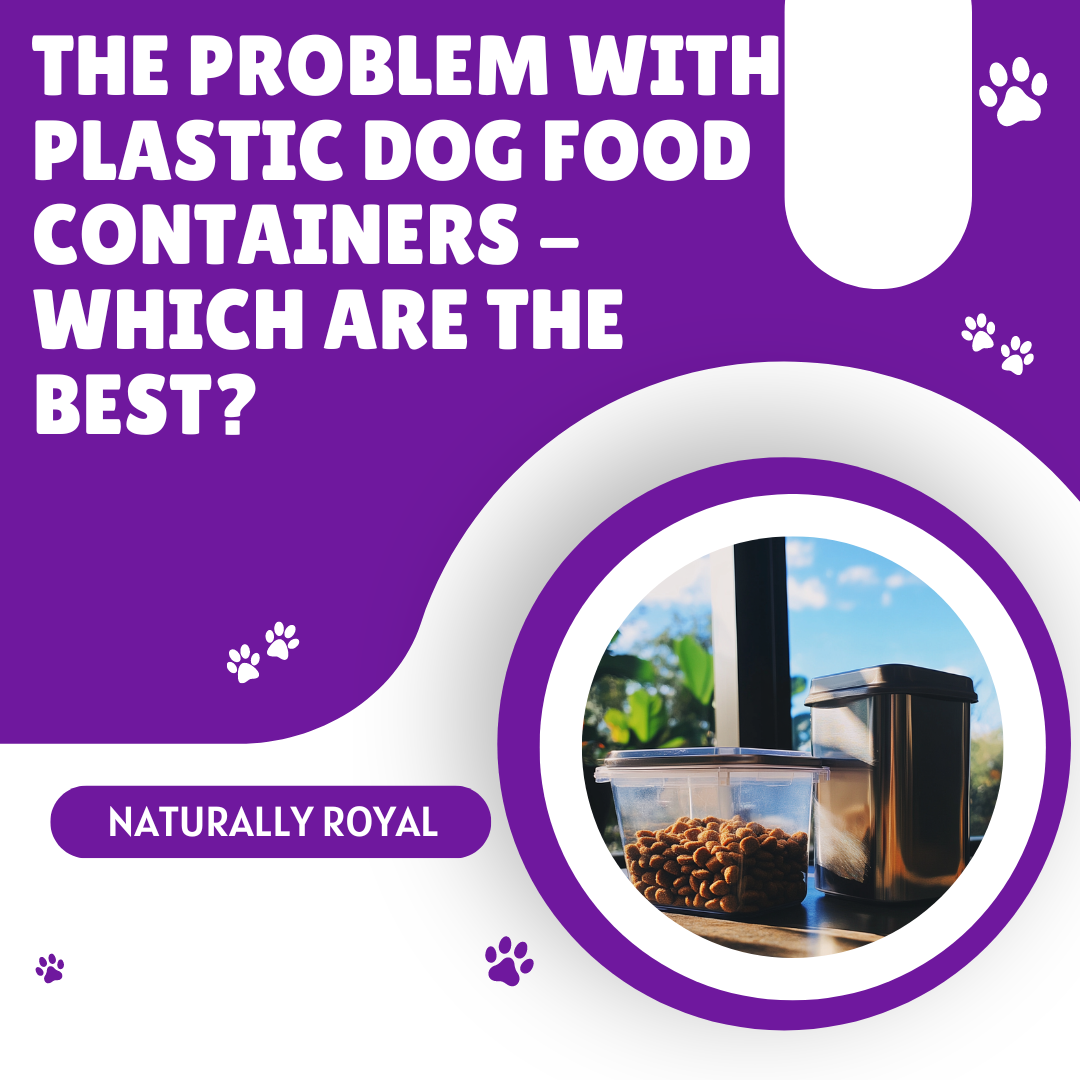 The Problem with Plastic Dog Food Containers - Which Are the Best ...